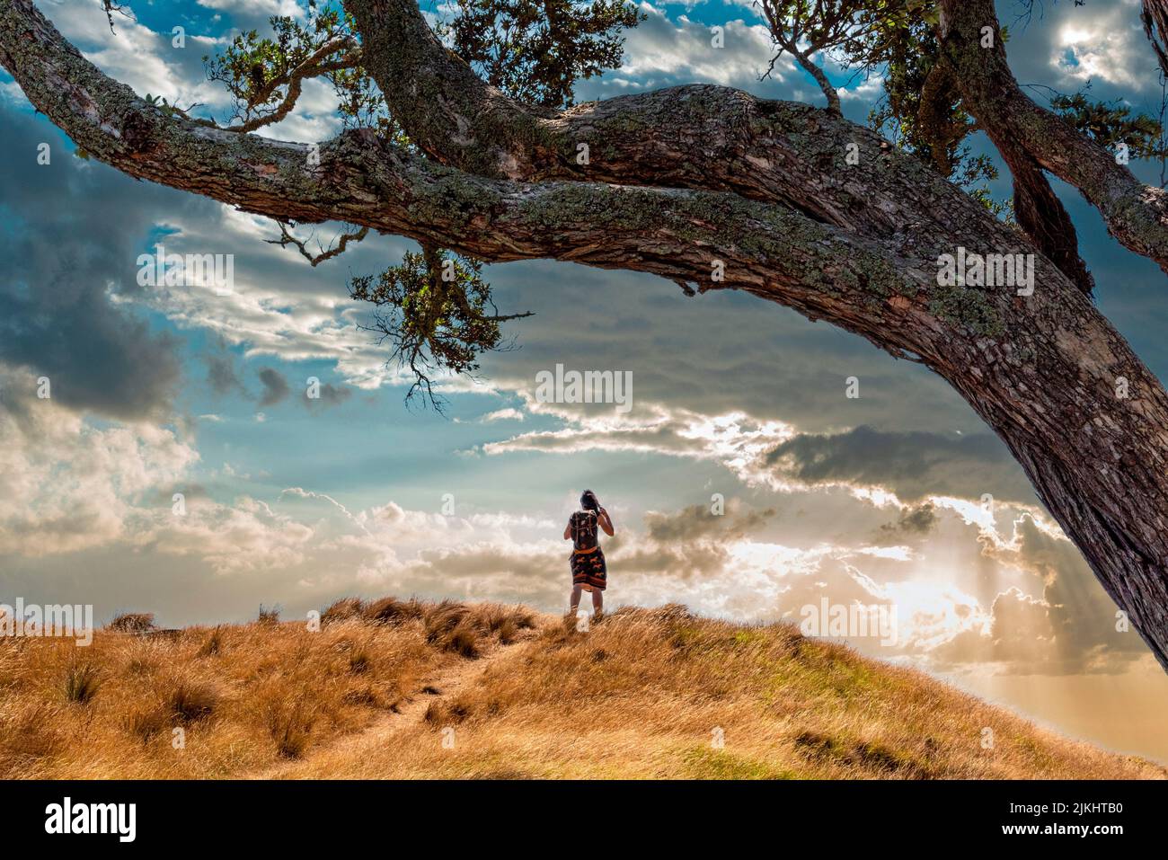 A hiker standing on a hill, a scenic sky above her Stock Photo - Alamy