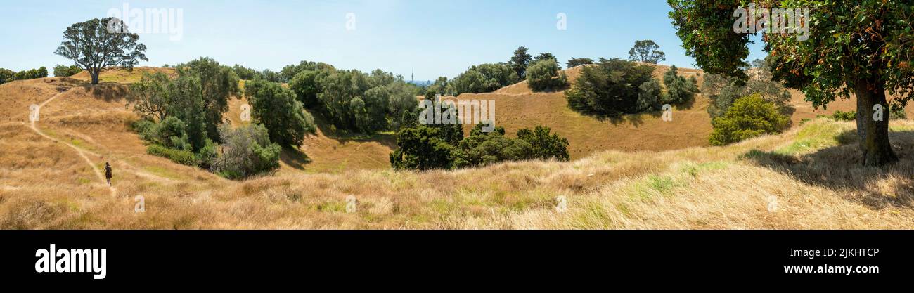 Scenic landscape in One Tree Hill Park in Auckland, New Zealand Stock ...