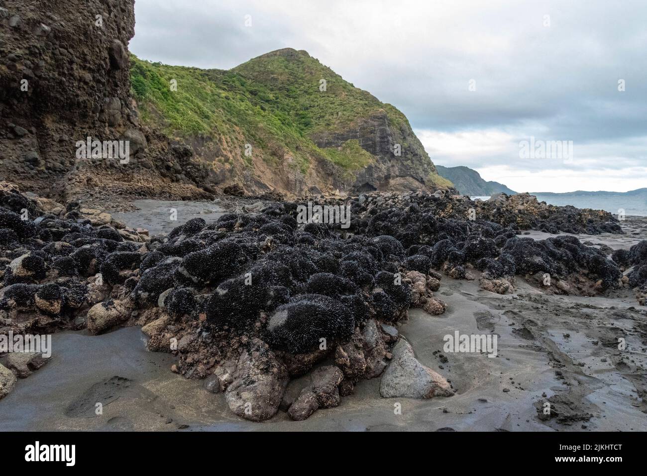 Dark colored sand at Whatipu beach near Auckland, New Zealand Stock ...