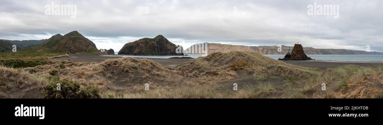 Dark colored sand at Whatipu beach near Auckland, New Zealand Stock ...