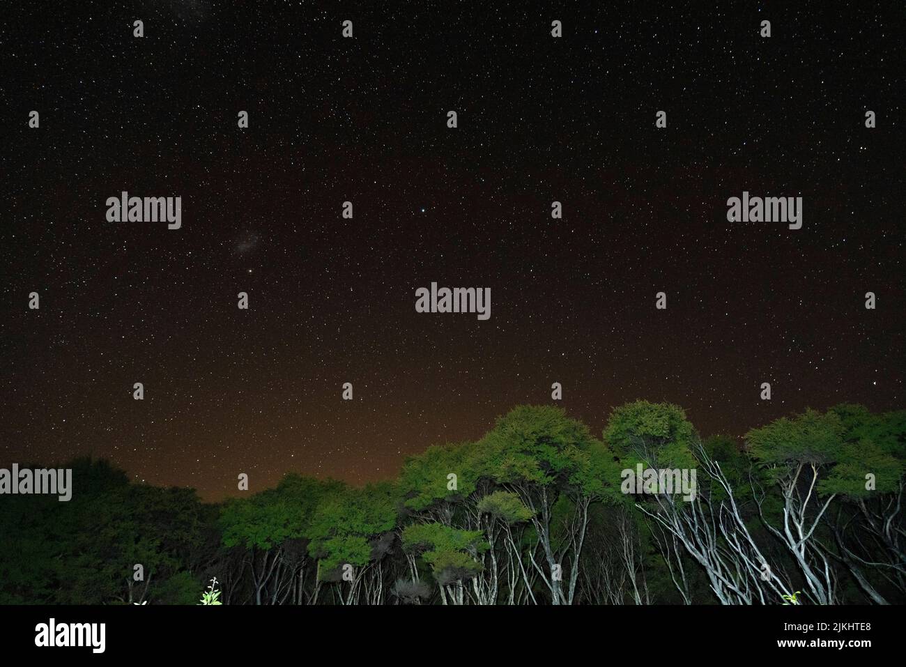 Jungle night moon hi-res stock photography and images - Alamy