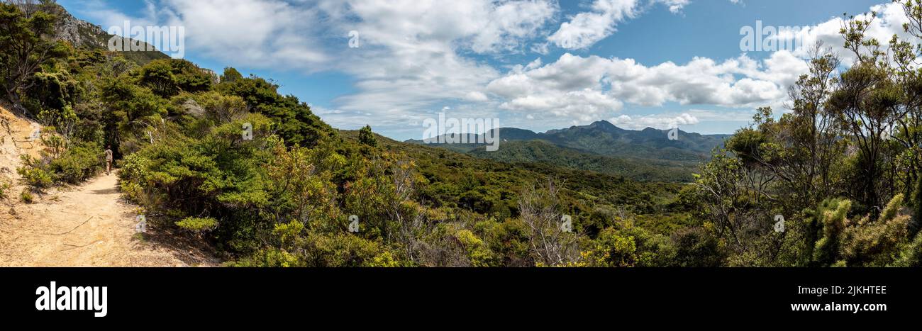 Great landscape of Great Barrier Island's highland, New Zealand Stock ...