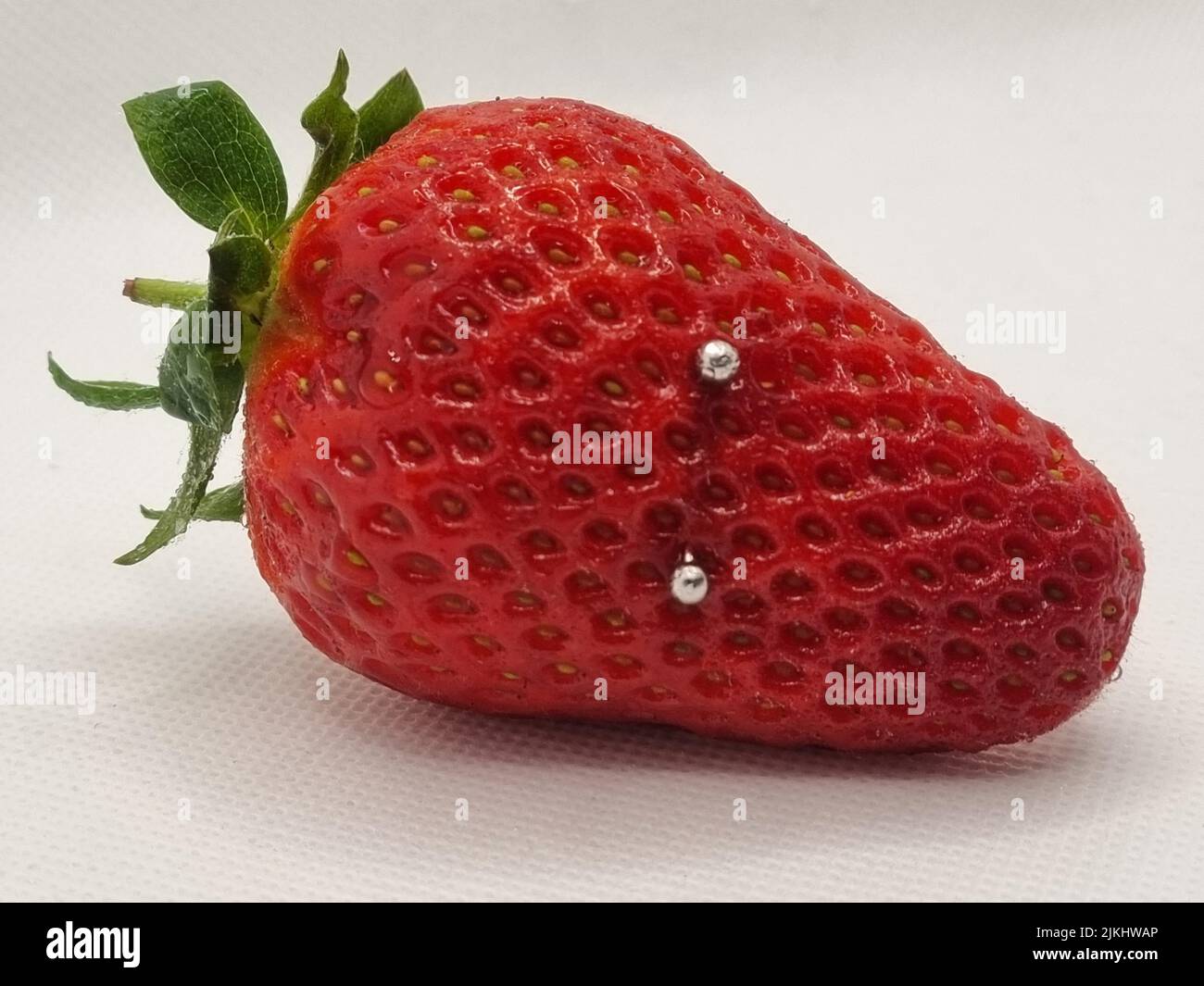 Fresa comun hi-res stock photography and images - Alamy