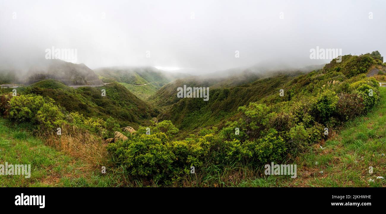 Remutaka hi-res stock photography and images - Alamy