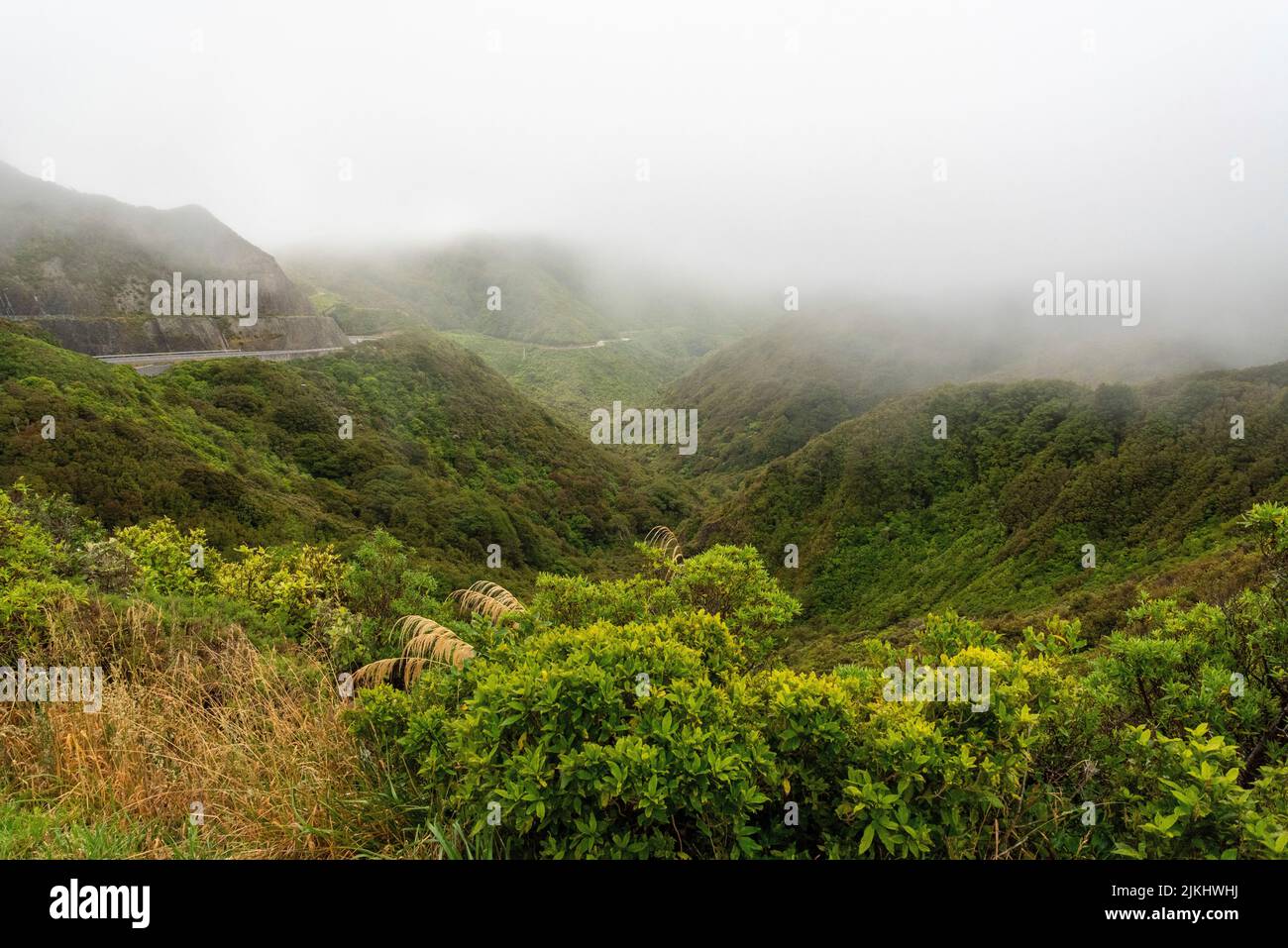 Scenic mountain landscape at Remutaka crossing, North Island of New ...