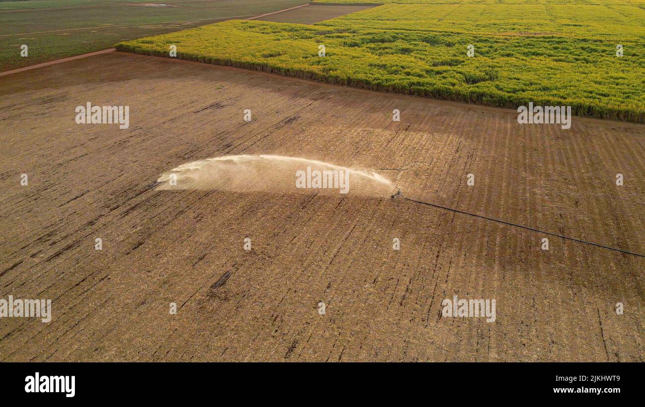 Sugar cane sunset plantation beautiful irrigation Stock Photo - Alamy