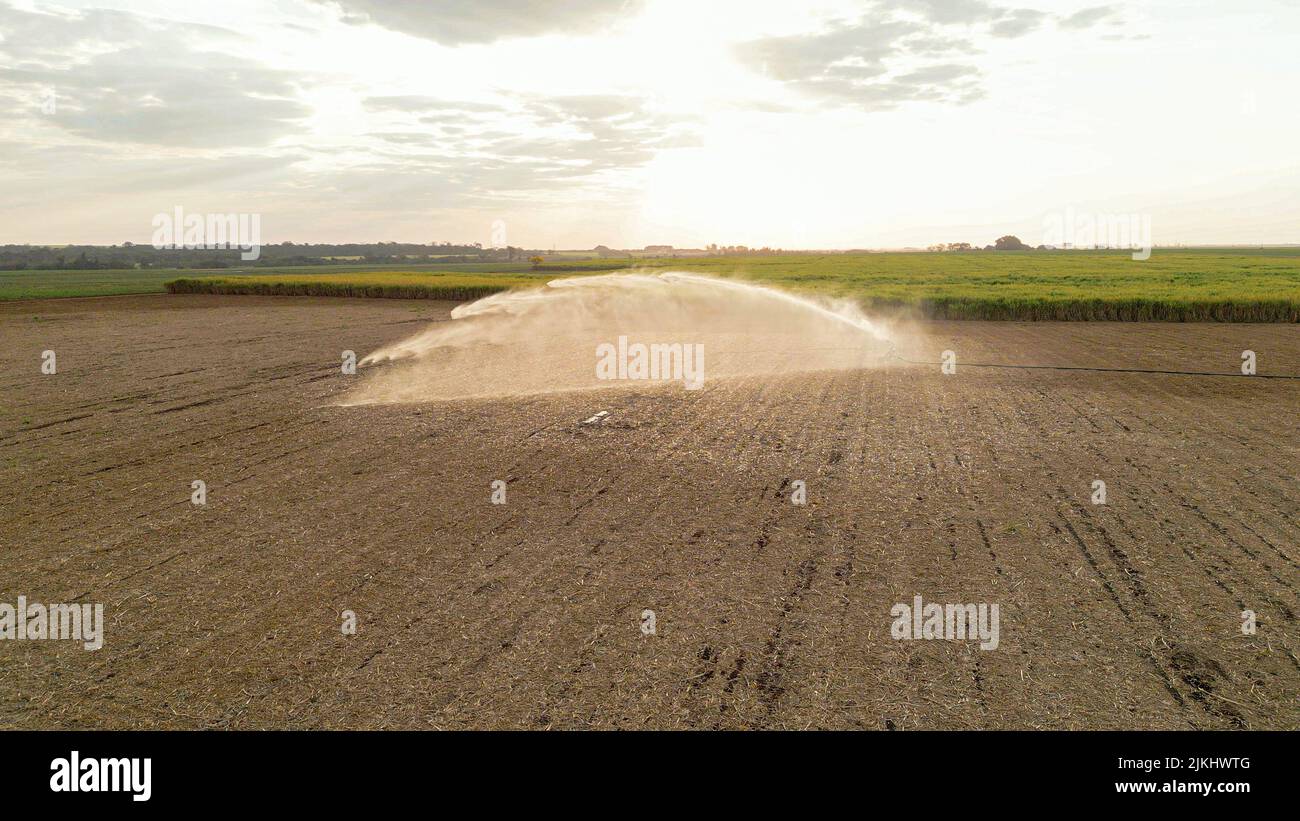 Sugar cane sunset plantation beautiful irrigation Stock Photo - Alamy