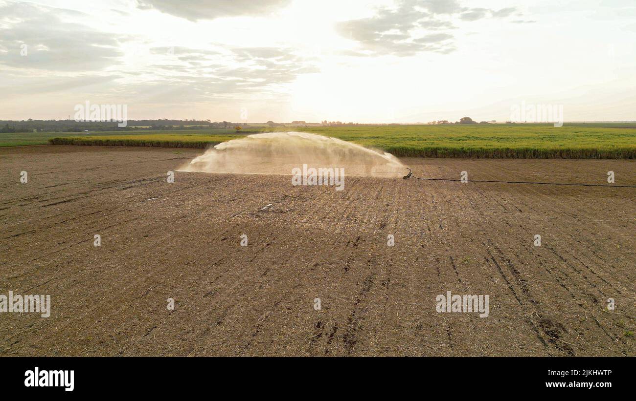 Sugar cane sunset plantation beautiful irrigation Stock Photo - Alamy