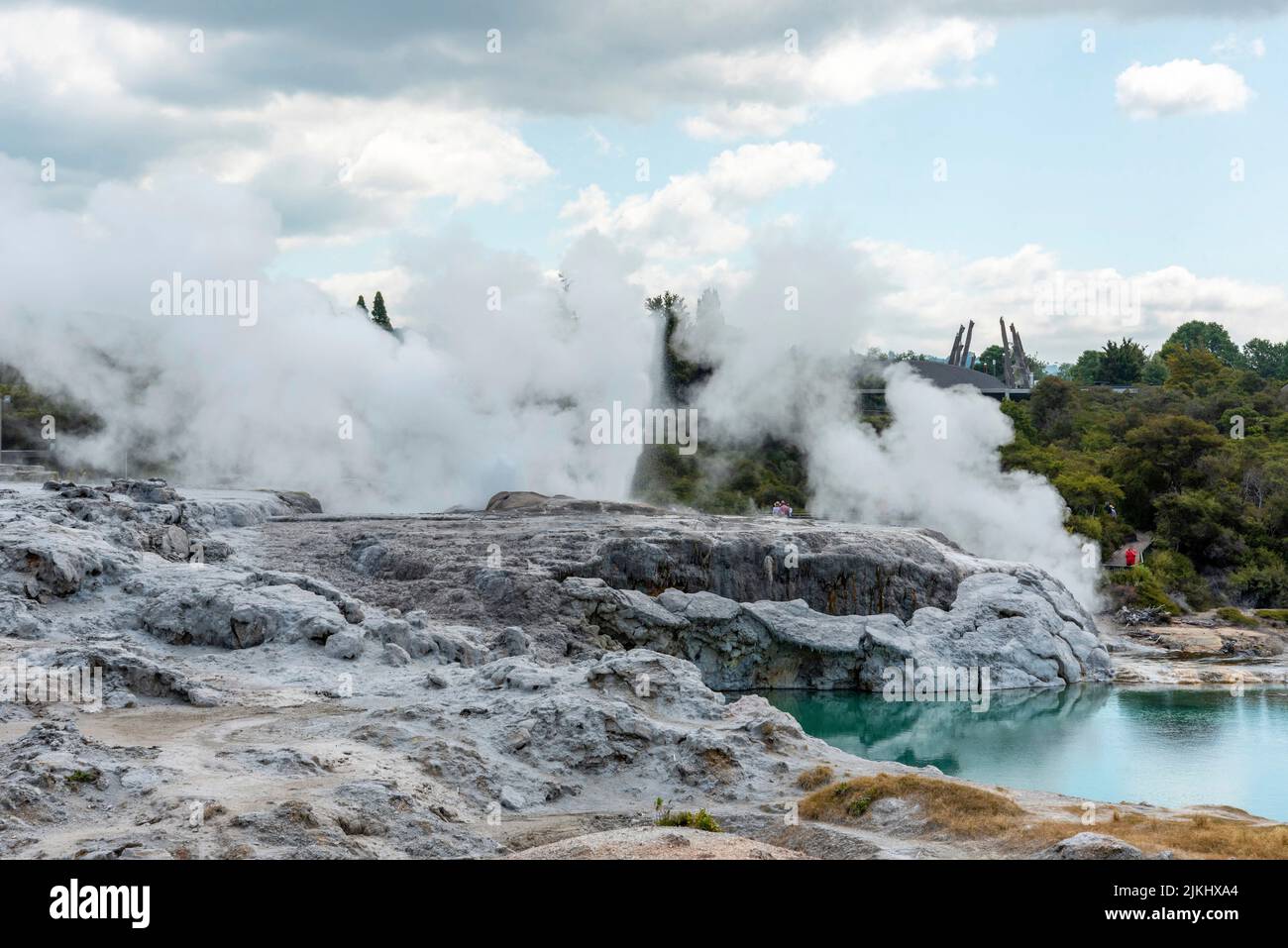 Geothermal field with Geyser at Whakarewarewa village, North Island of ...