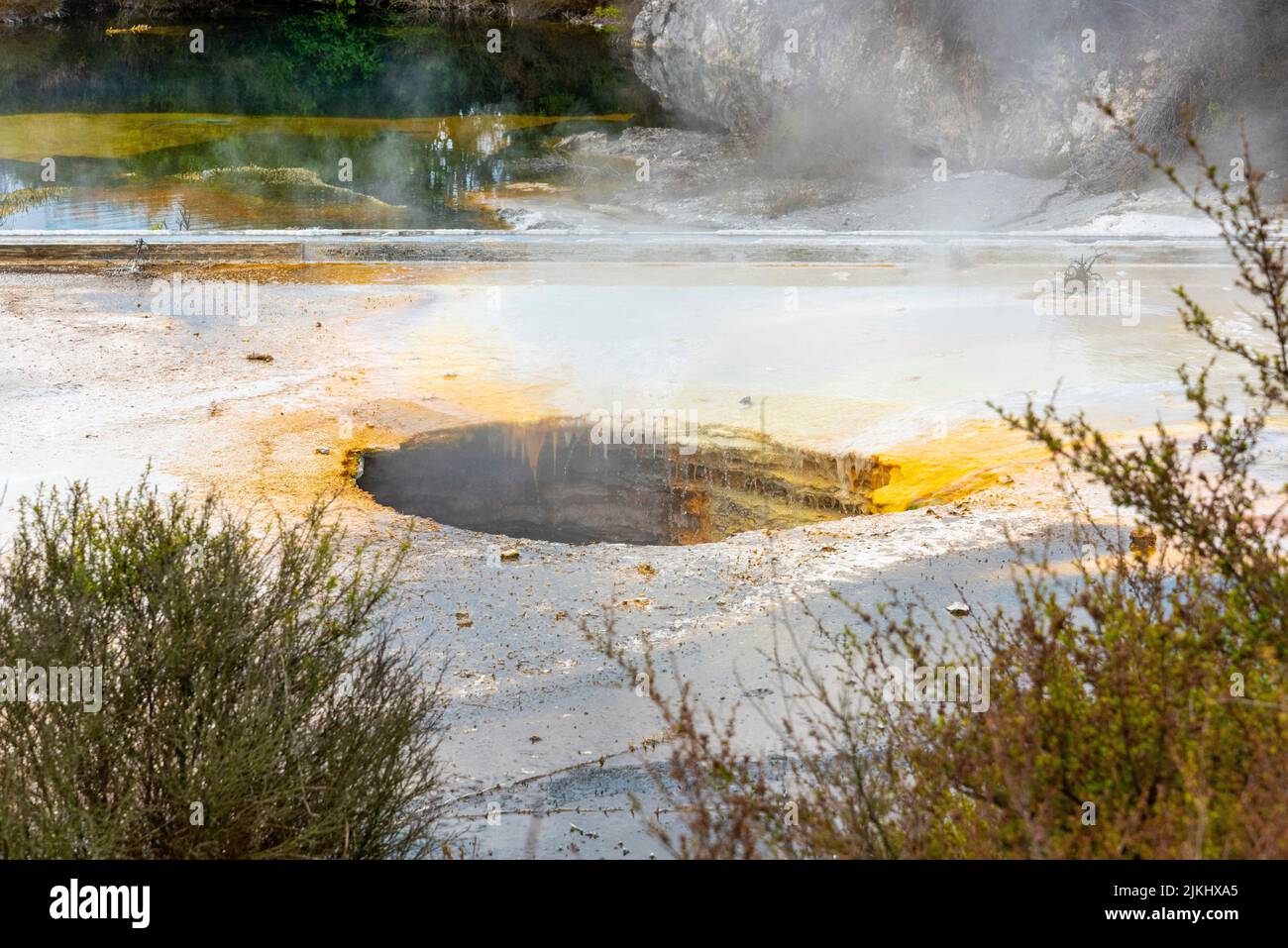 Geothermal field with Geyser at Whakarewarewa village, North Island of ...