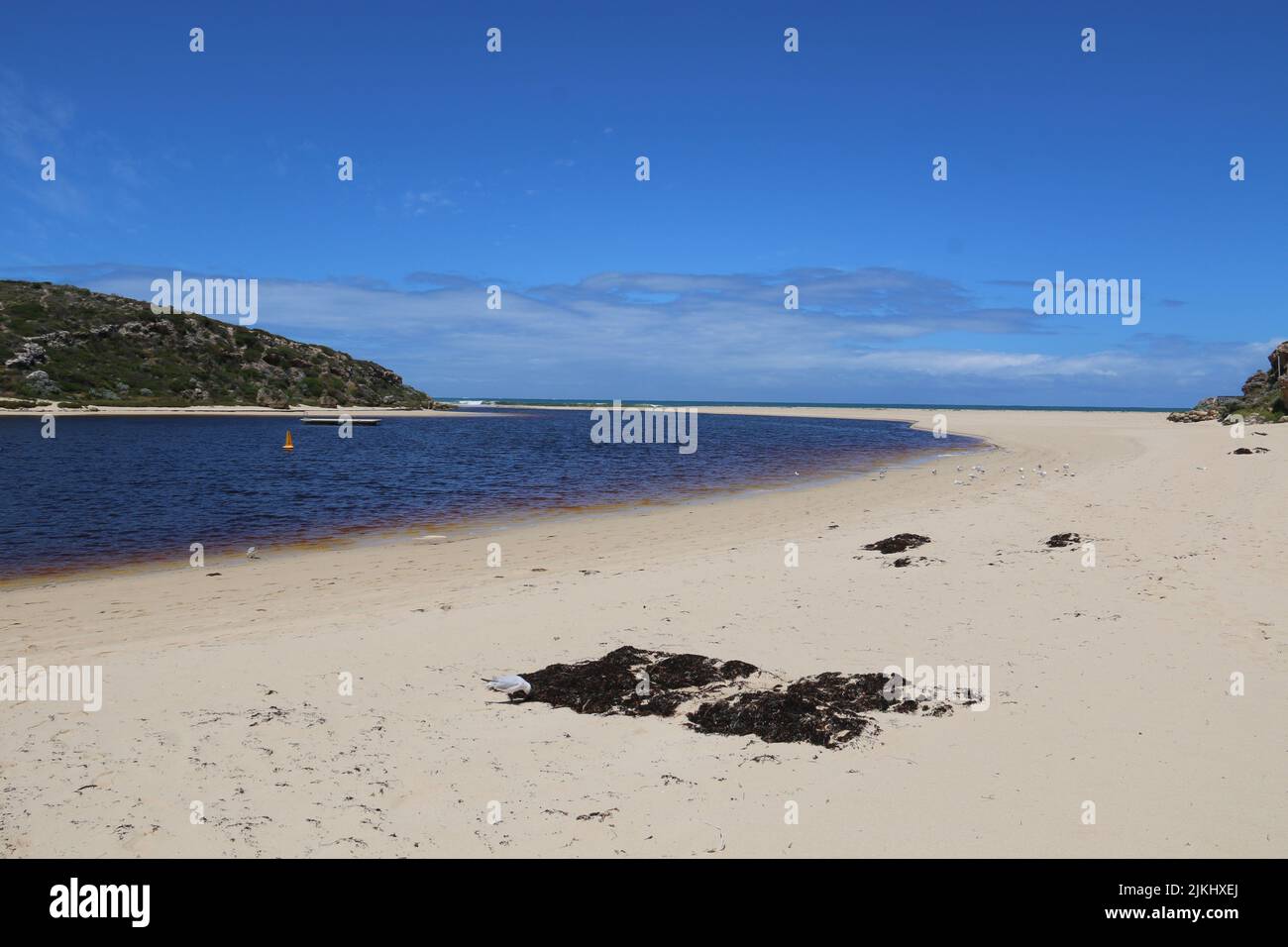 River in australia hi-res stock photography and images - Alamy