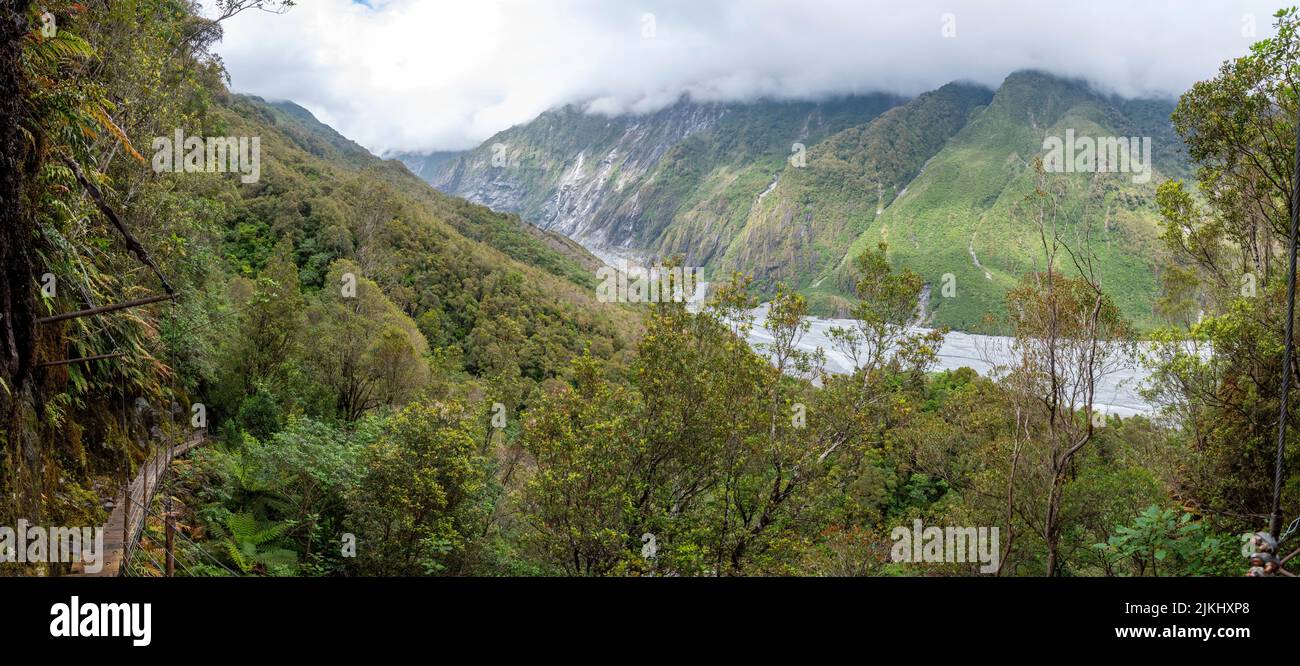 Narrow path of the Roberts Point Track, Franz Josef Glacier National ...