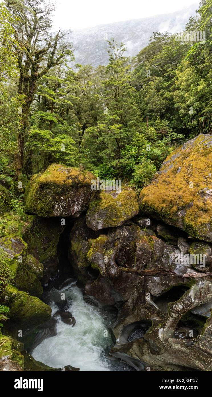 Famous Chasm gorge with beautifully outwashed rock, Milford Sound ...