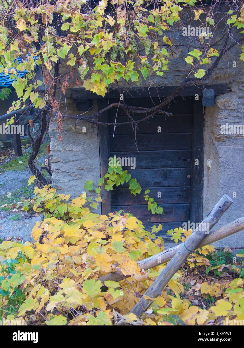 Vineyard house view hi-res stock photography and images - Alamy