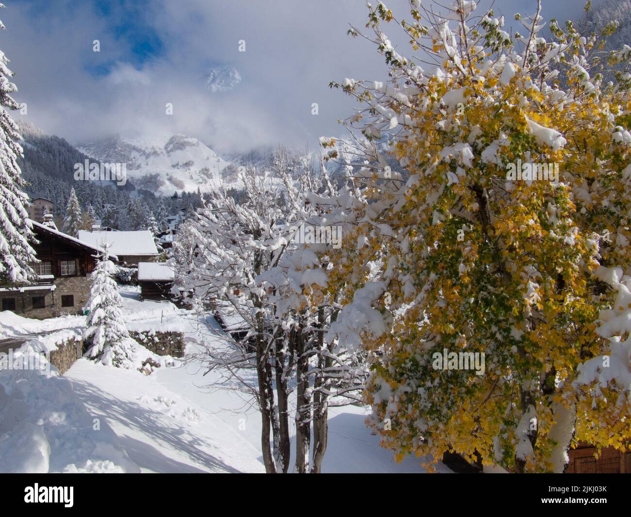 Beautiful village trees hi-res stock photography and images - Alamy