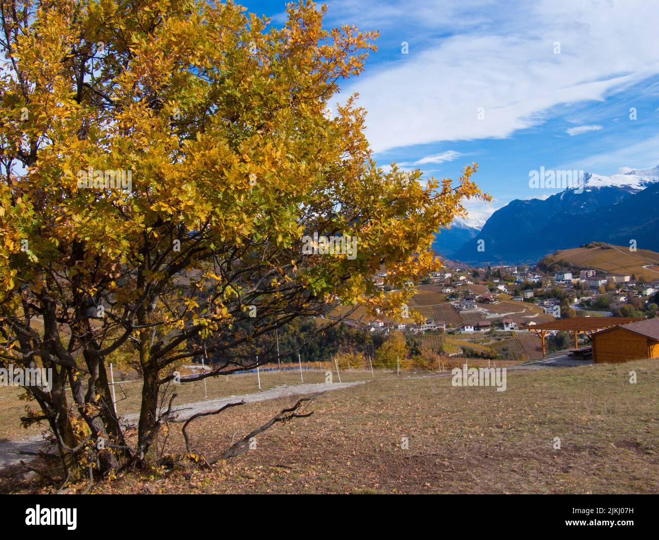 An aerial view of the skyline through trees in Sion, Switzerland Stock ...