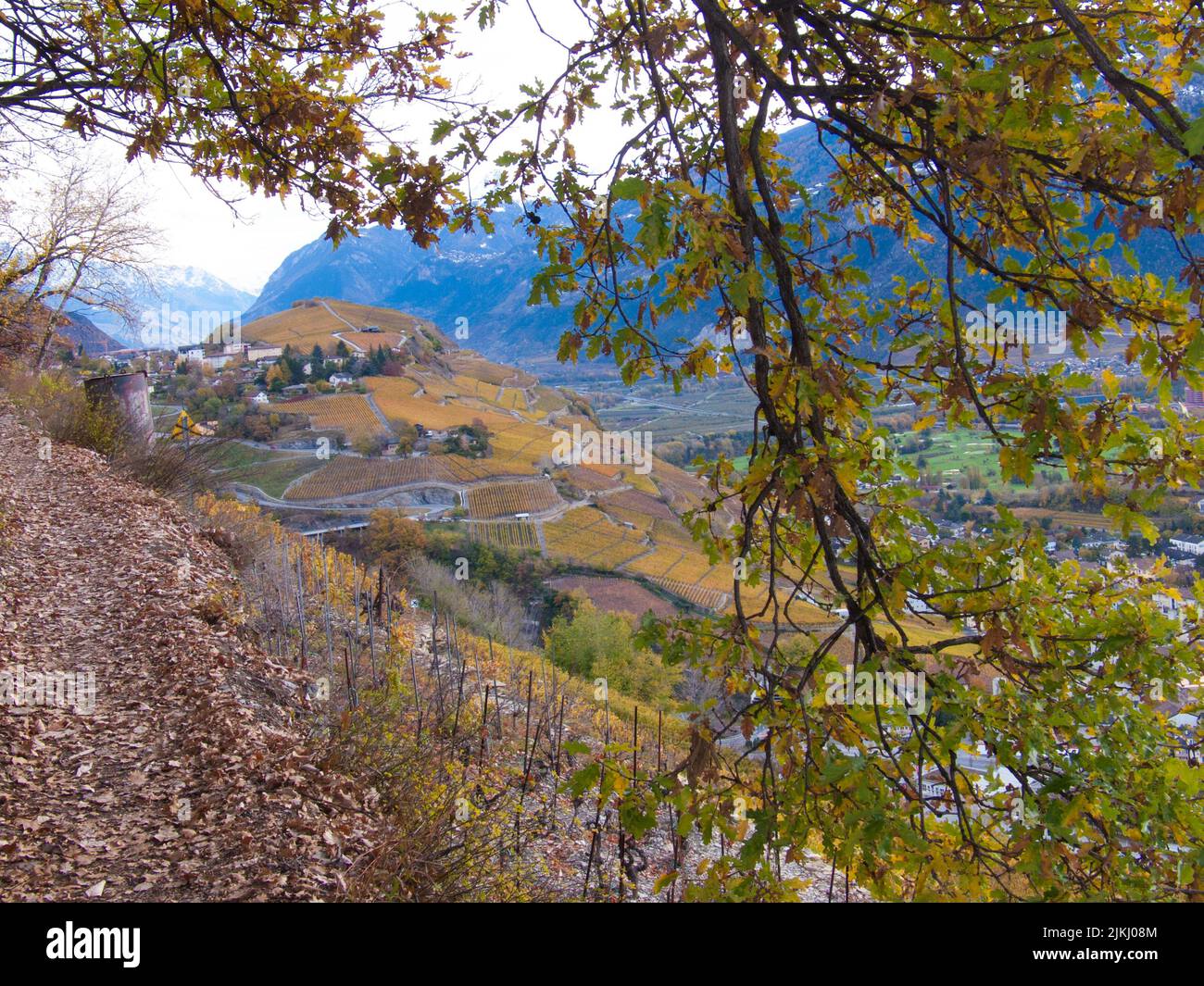 A beautiful view of a village with houses from autumn trees Stock Photo ...