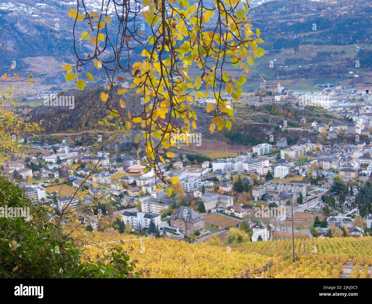An aerial view of the skyline through trees in Sion, Switzerland Stock ...