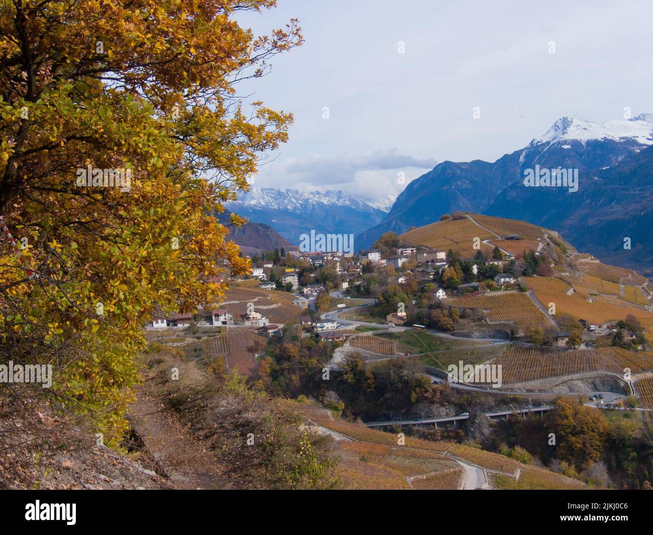 An aerial view of the skyline through trees in Sion, Switzerland Stock ...