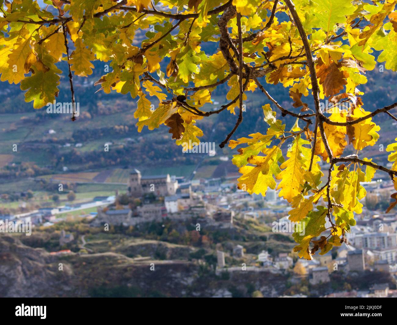 An aerial view of the skyline through trees in Sion, Switzerland Stock ...