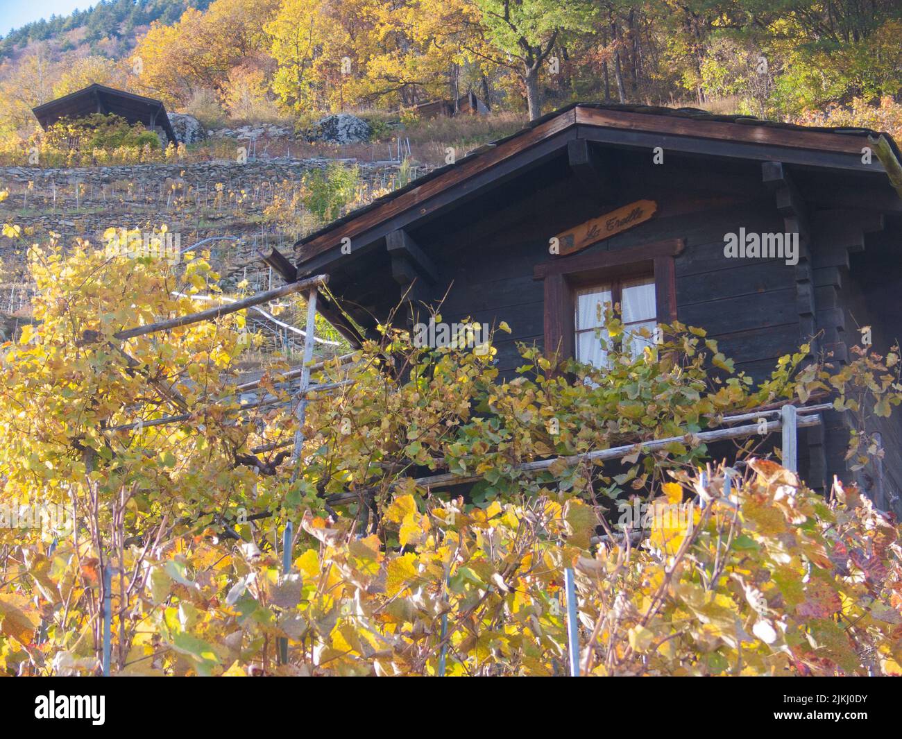 Vineyard small town hi-res stock photography and images - Alamy