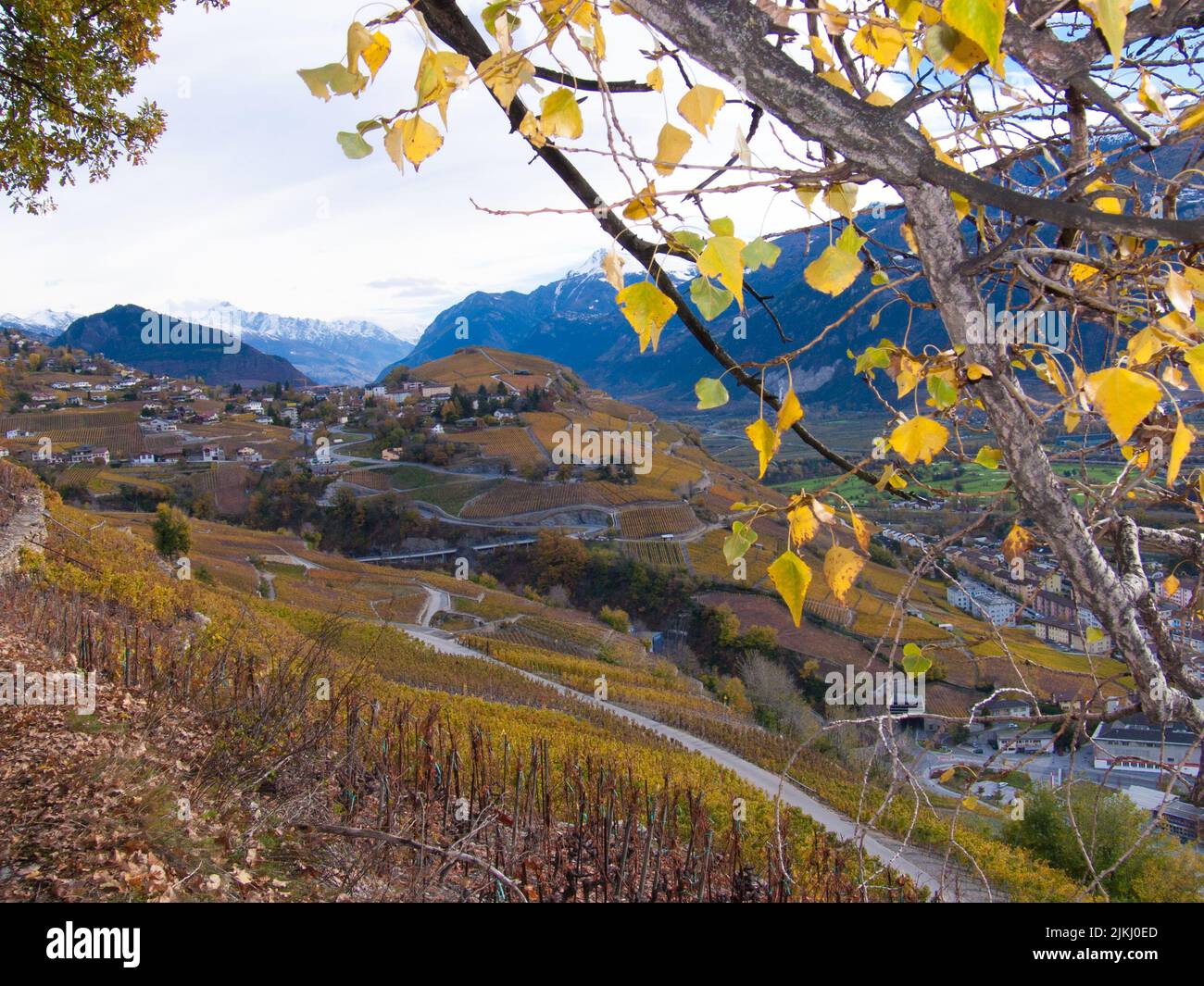 An aerial view of the skyline through trees in Sion, Switzerland Stock ...