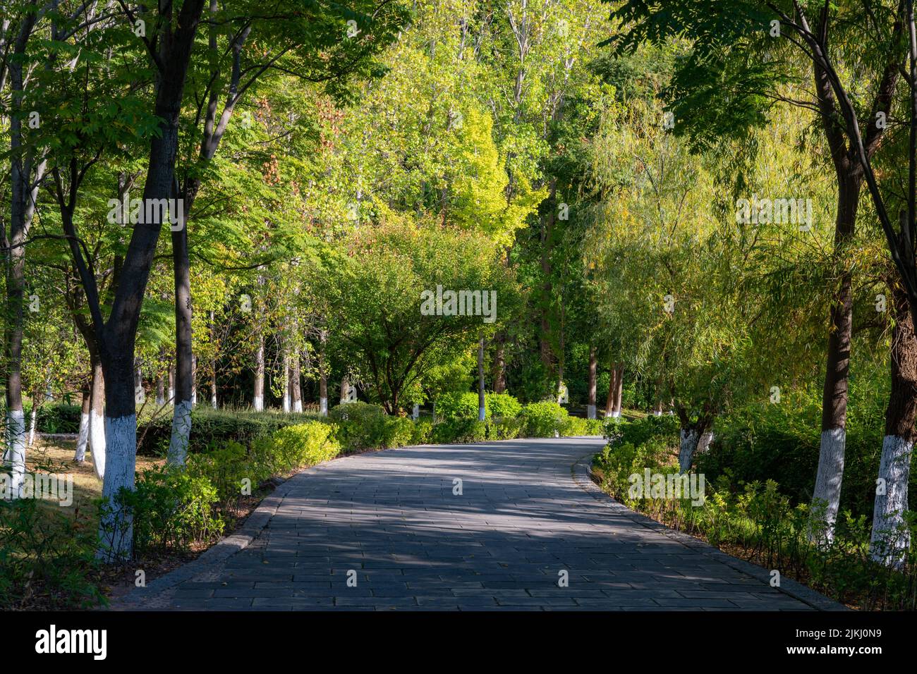 Stone path through park hi-res stock photography and images - Alamy