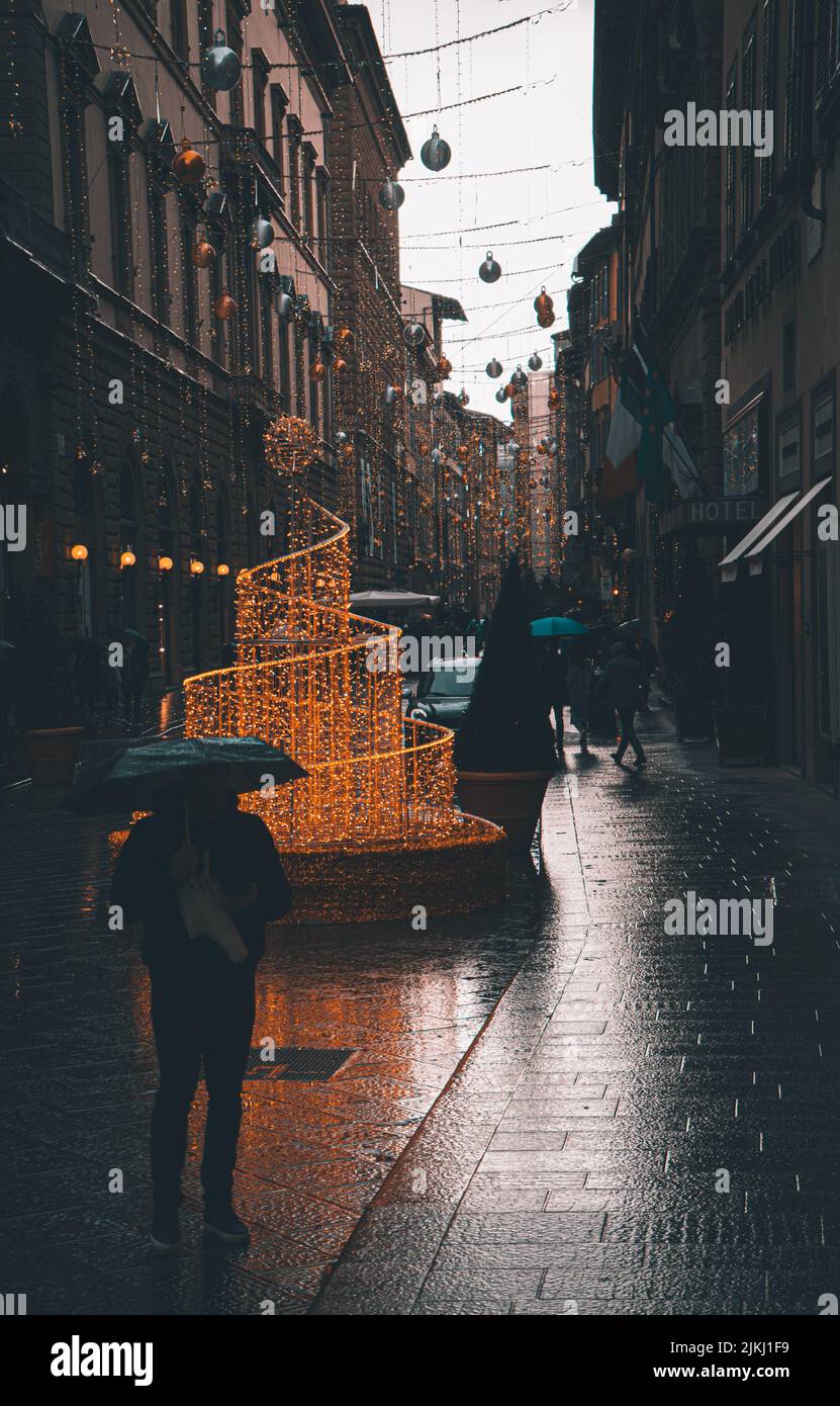 A vertical wide angle shot of a person walking with an umbrella in ...