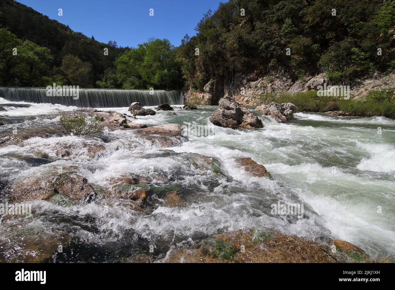 A river near a dense forest Stock Photo - Alamy