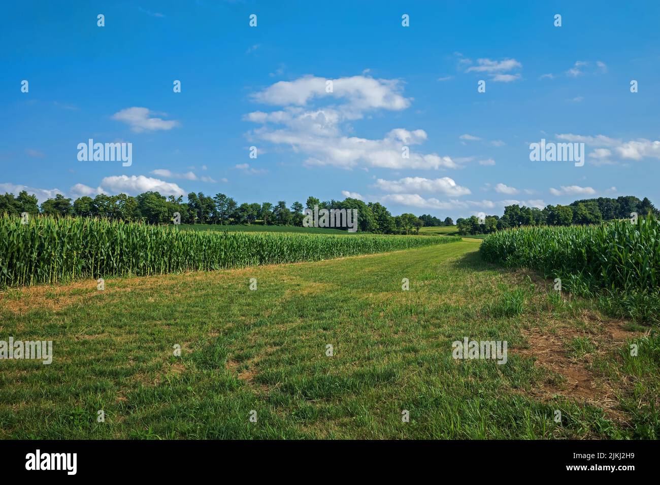 Sheet erosion farm hi-res stock photography and images - Alamy