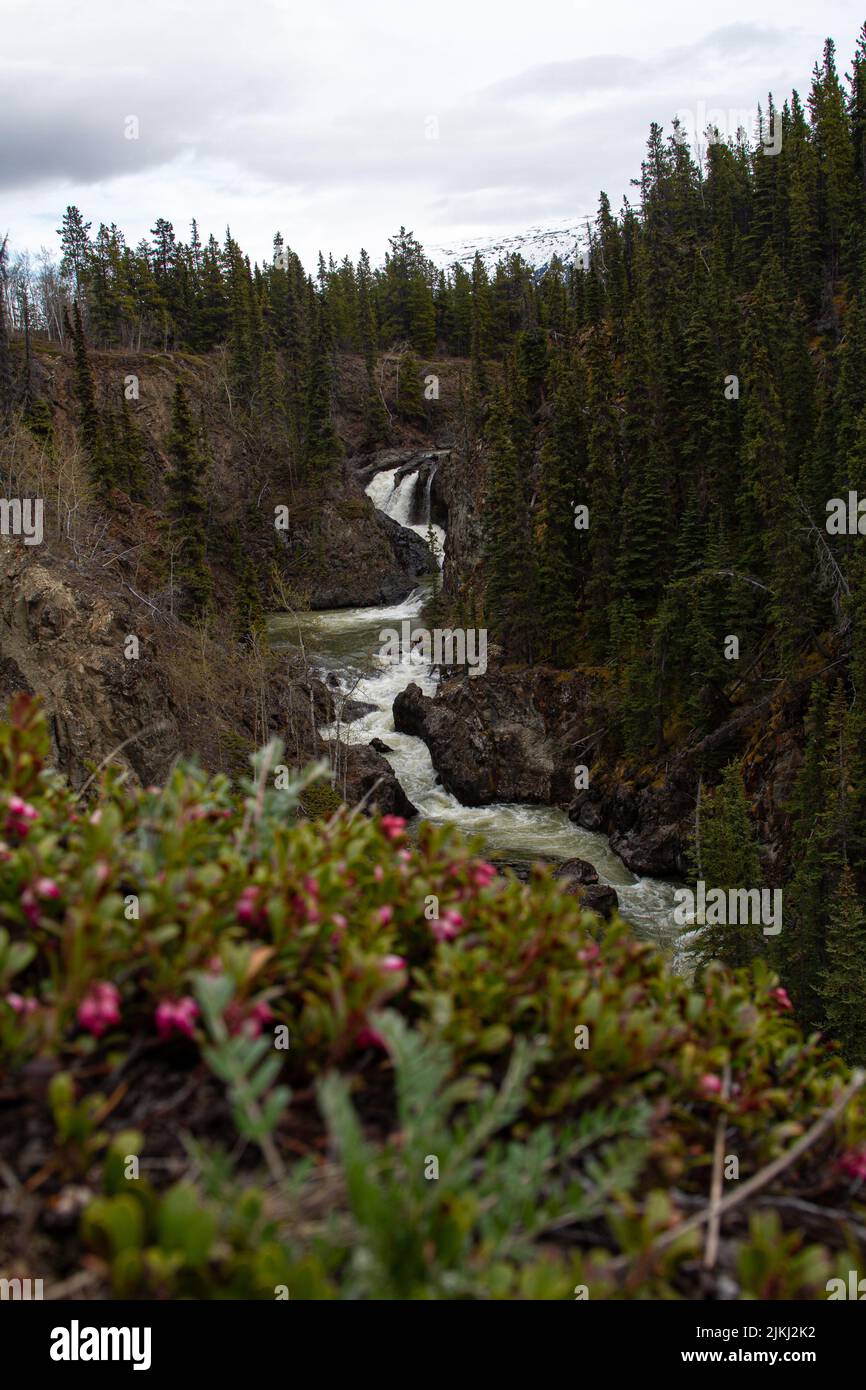 The view of the Pine Creek Falls in Atlin, BC Stock Photo - Alamy