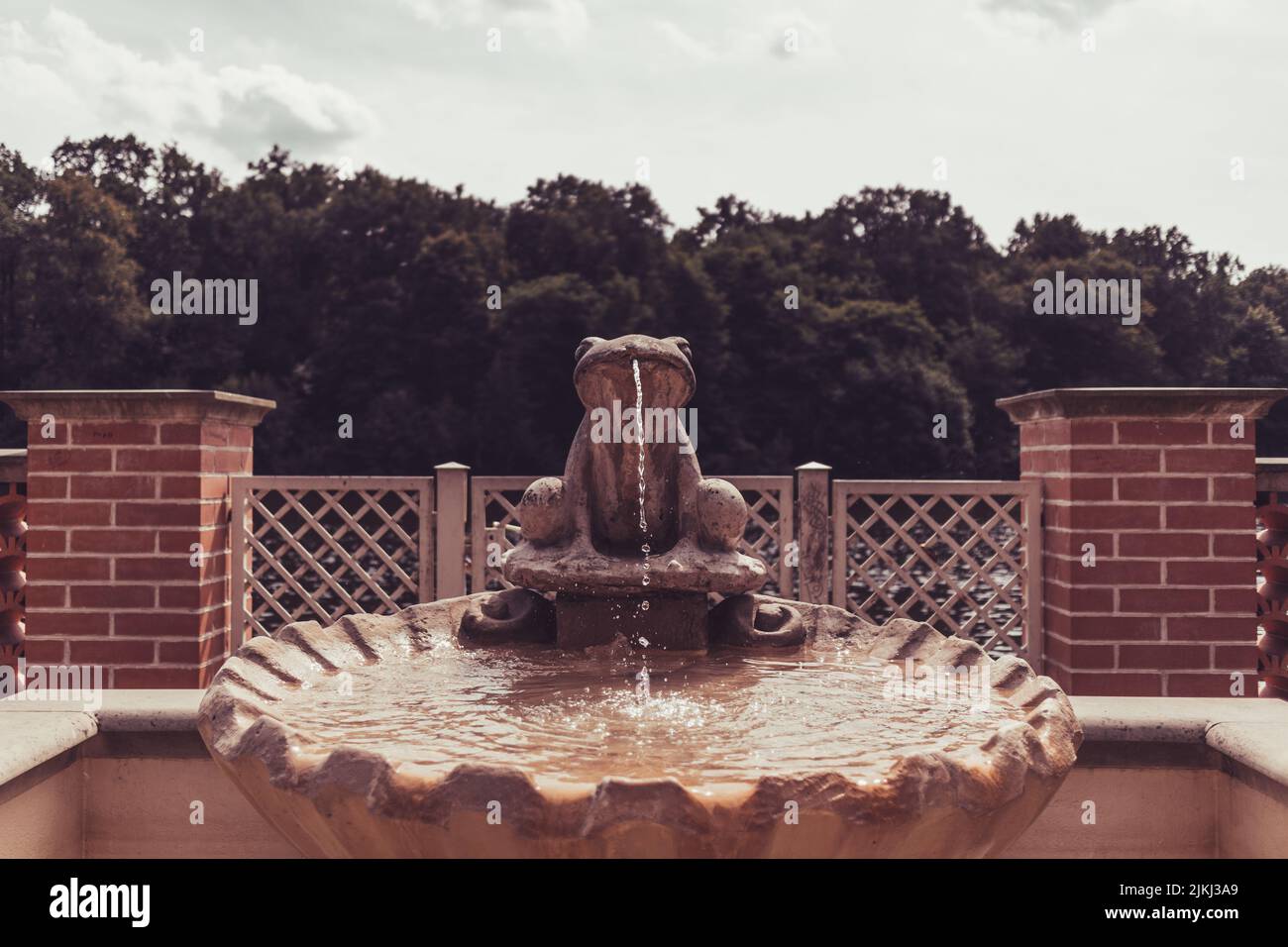 A frog fountain spitting out water with dense trees in the background ...