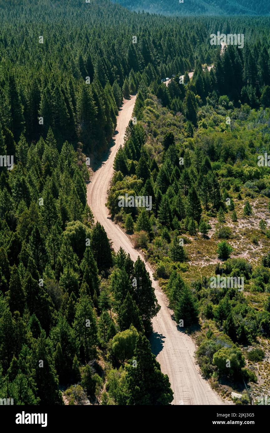 The trail in the middle of the forest Stock Photo - Alamy
