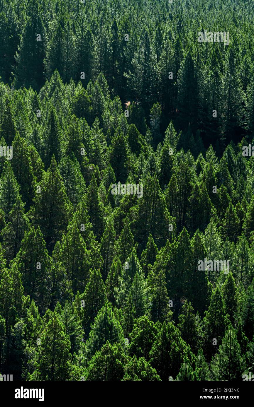 Vertical desktop wallpaper hi-res stock photography and images - Alamy