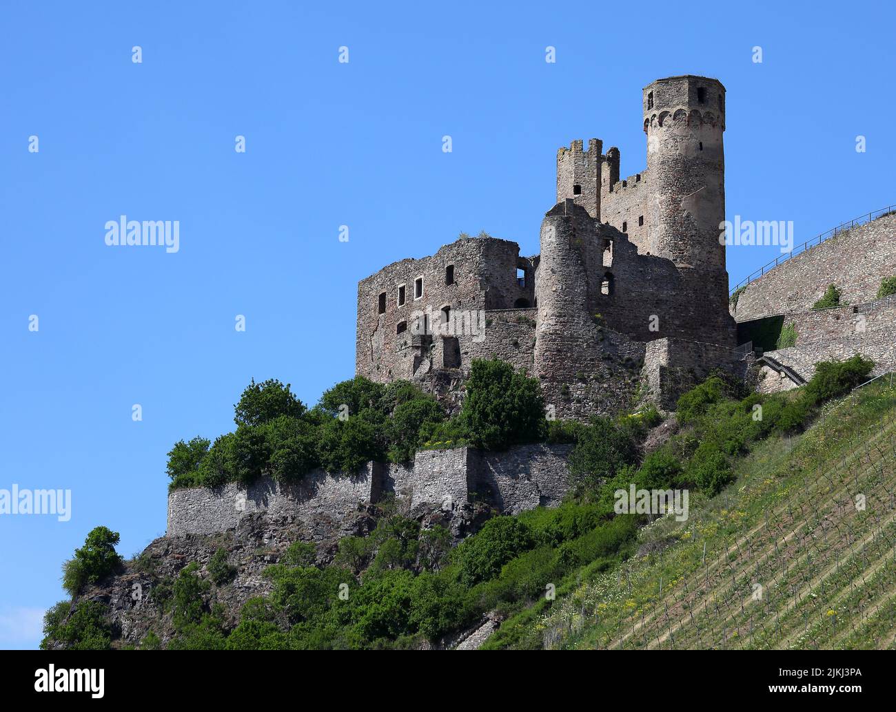 A scenic view of Burgruine Ehrenfels Castle in Rudesheim am Rhein ...