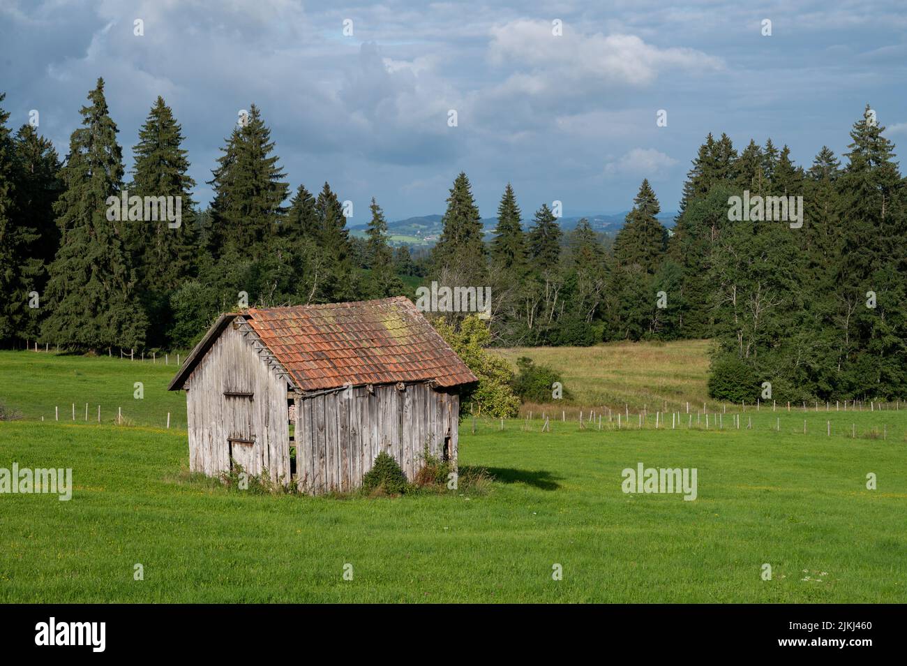 A beautiful view of an old wooden house with forest in the background ...