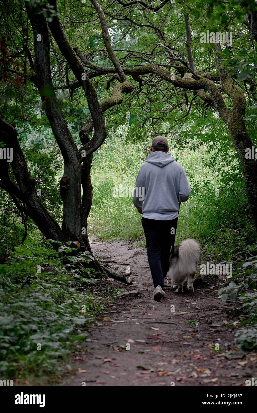A young man from behind walking his dog in the forest or woods Stock ...
