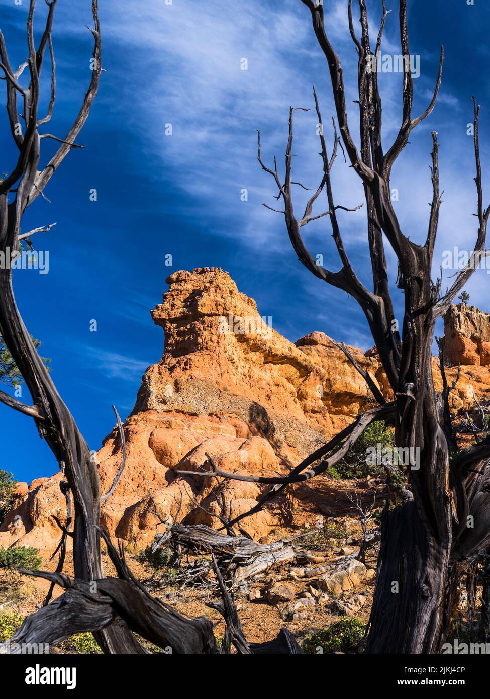 Dixie trail hi-res stock photography and images - Alamy