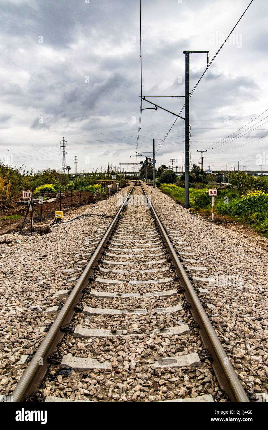 Train tree hi-res stock photography and images - Alamy