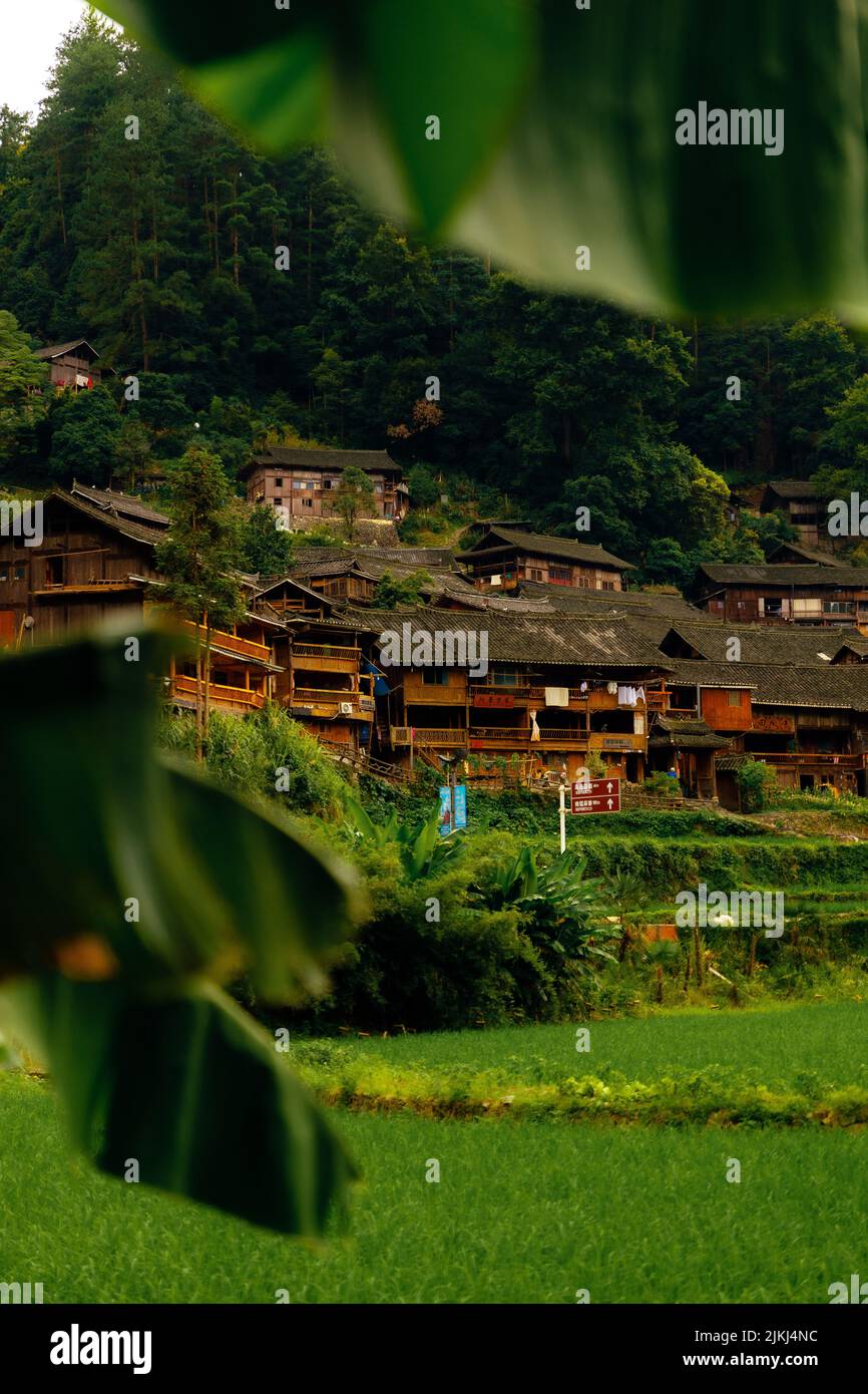A beautiful shot of the old traditional houses in Langde Miao Ethnic ...
