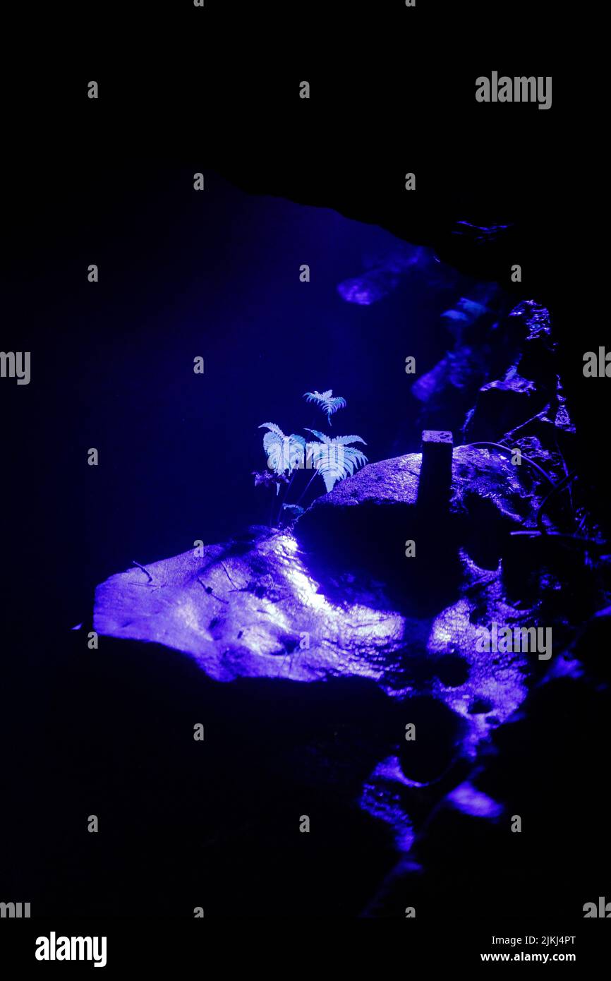 A scenic inside view of the Shuanghedong Caves with colorful lights ...