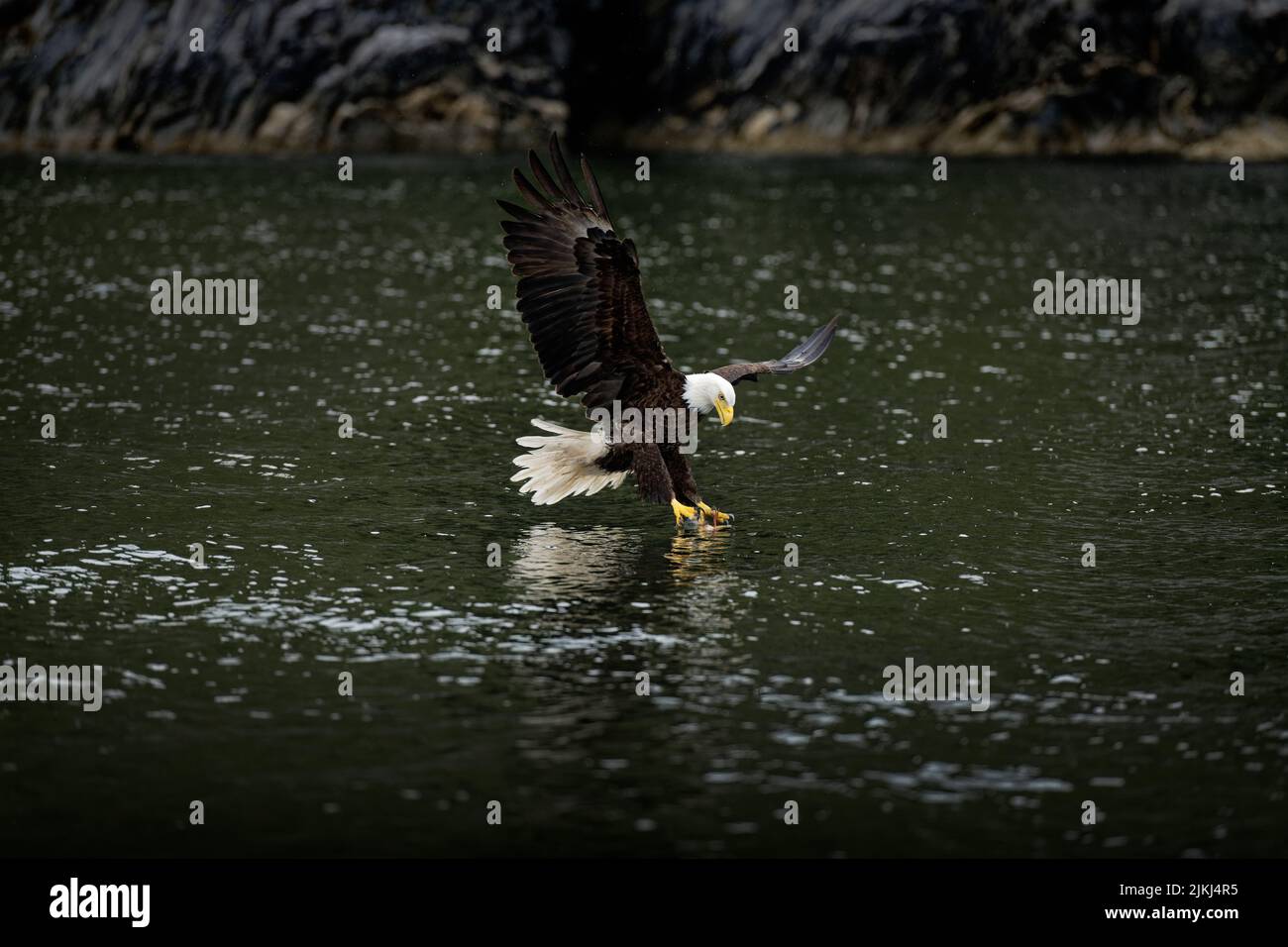 Swooping hi-res stock photography and images - Alamy