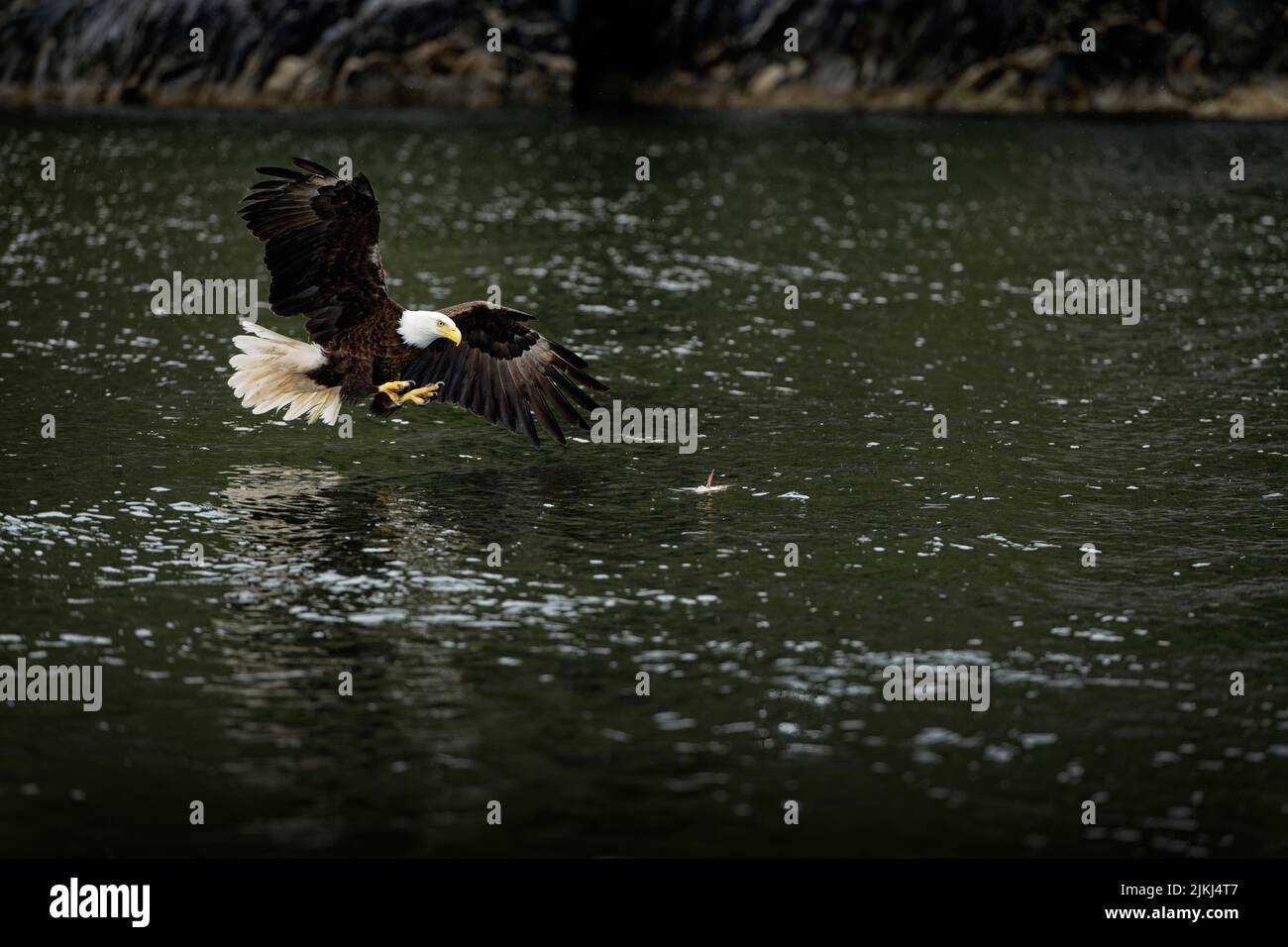 Swooping hi-res stock photography and images - Alamy