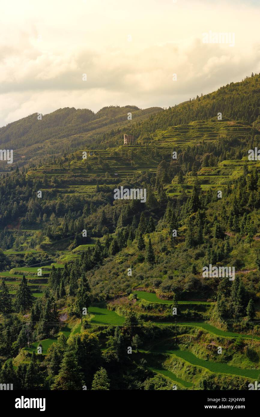 A Beautiful shot of green landscape with trees and grass in Shuanghe ...