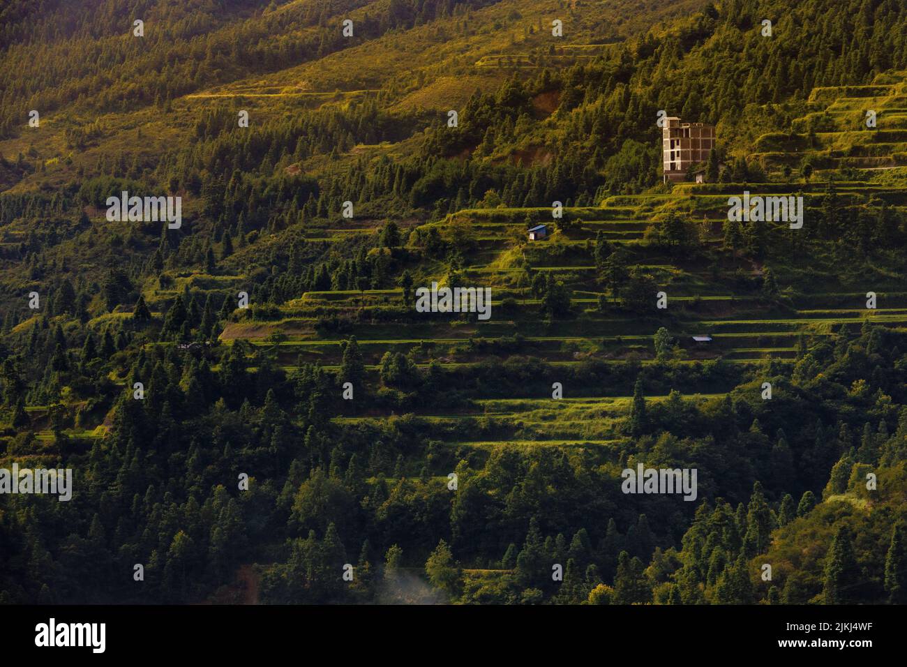 A Beautiful shot of green landscape with trees and grass in Shuanghe ...