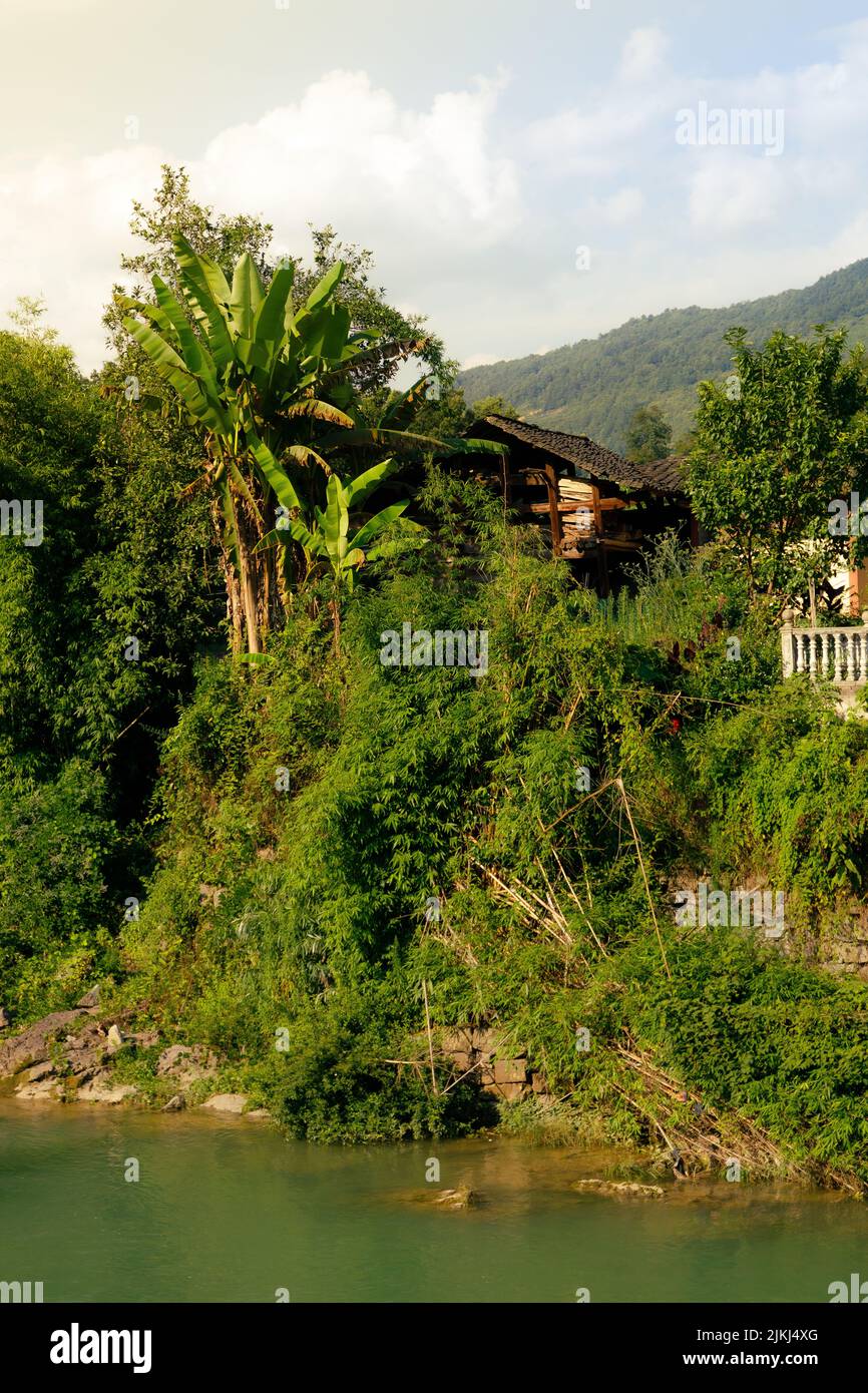 A beautiful shot of green trees by water lake Shuanghe Caves, Qingyan ...