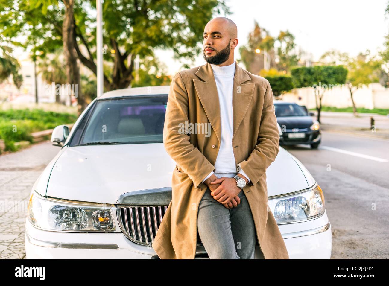 Attractive Caucasian model leaning against a limousine car outdoor ...