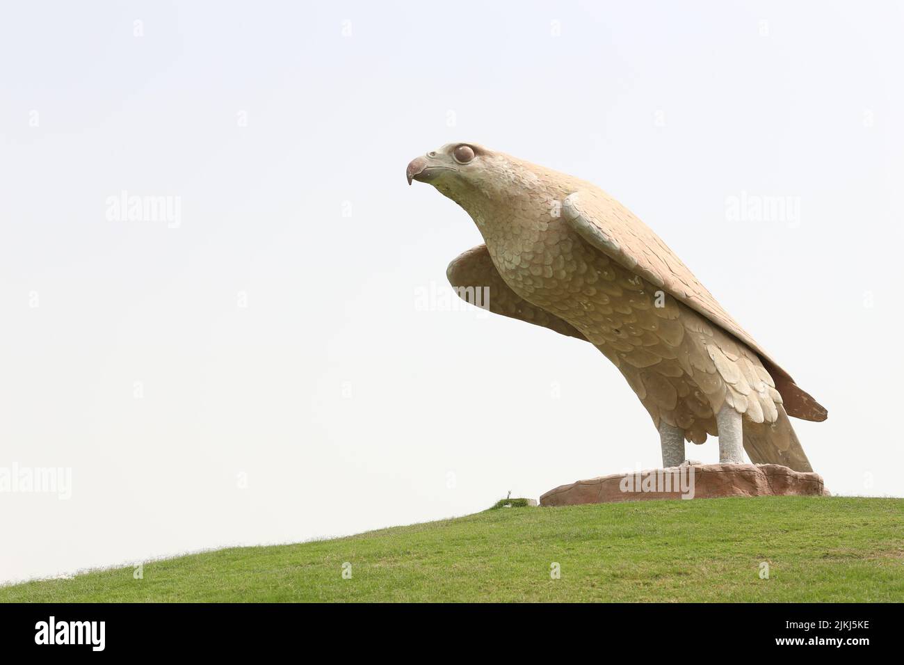 Eagle feather grass hi-res stock photography and images - Alamy