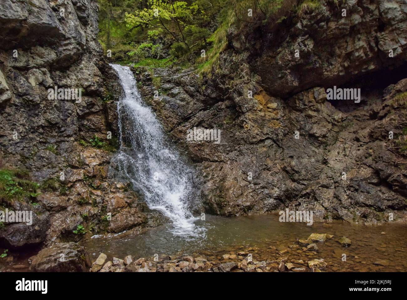 Beautiful shot small river hi-res stock photography and images - Alamy