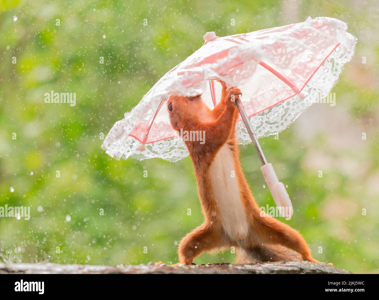 Animal rain shelter hi-res stock photography and images - Alamy
